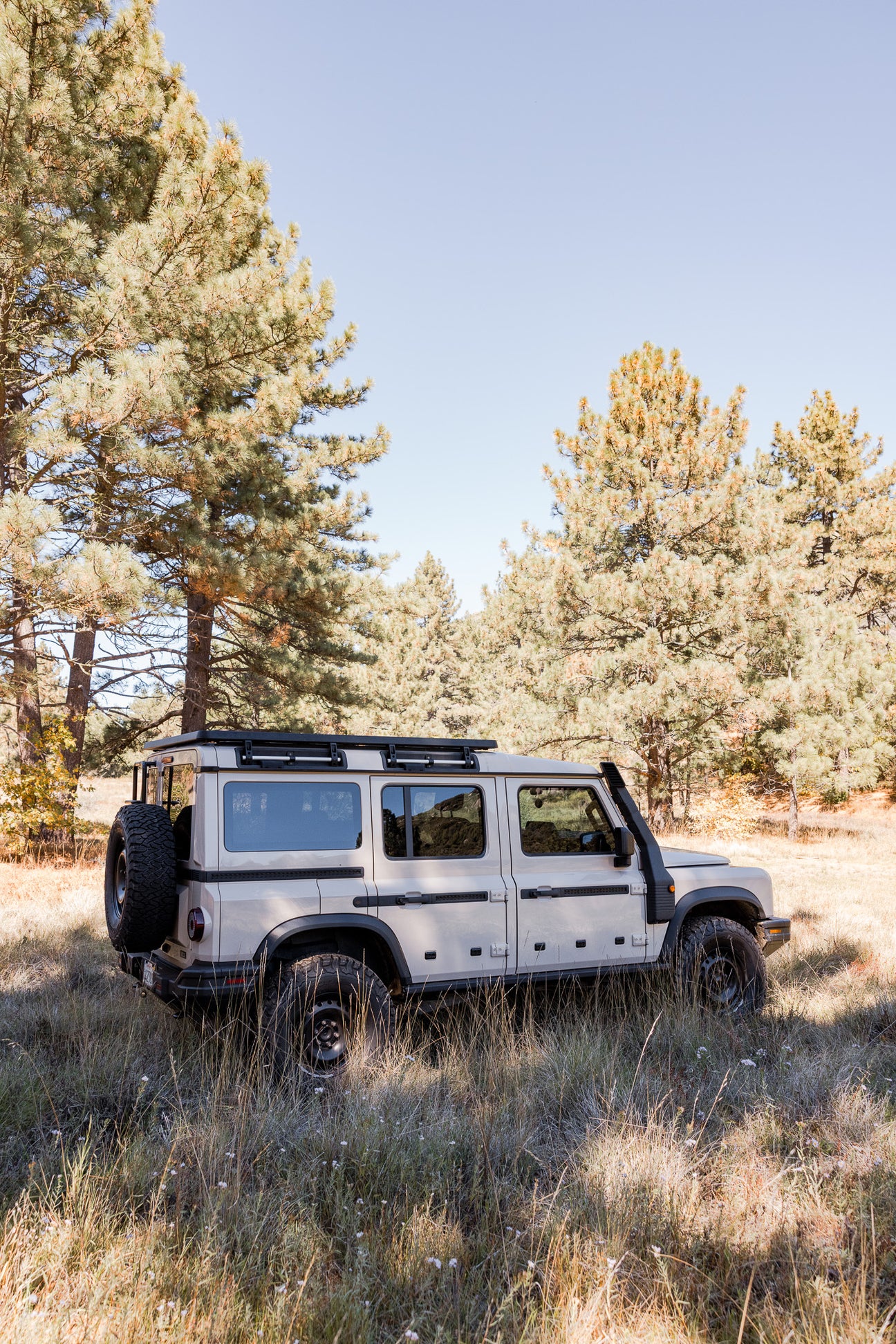 Mossy Ineos Grenadier